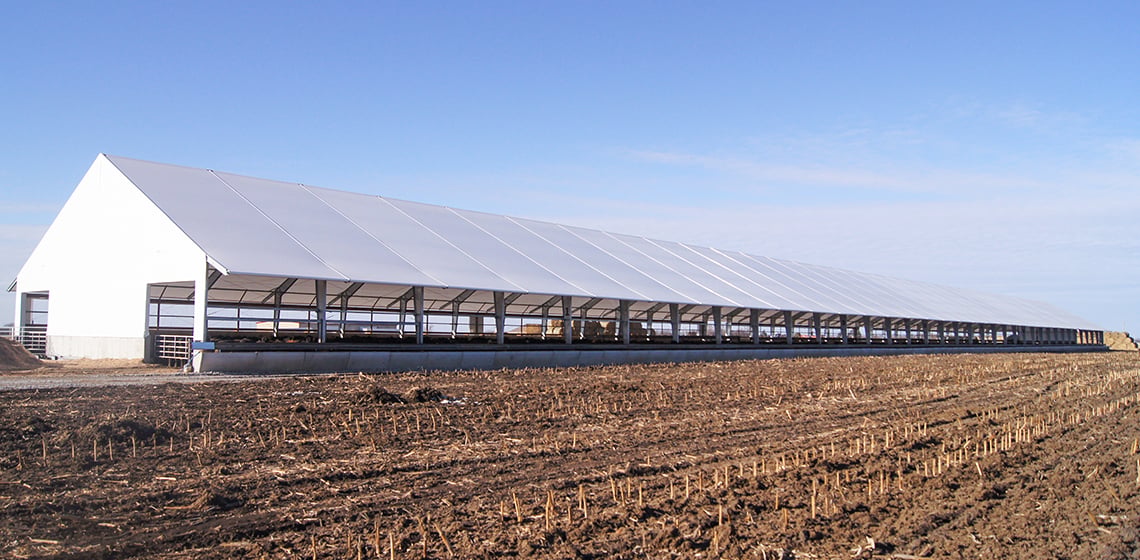 Foltz Beef Cattle Farm