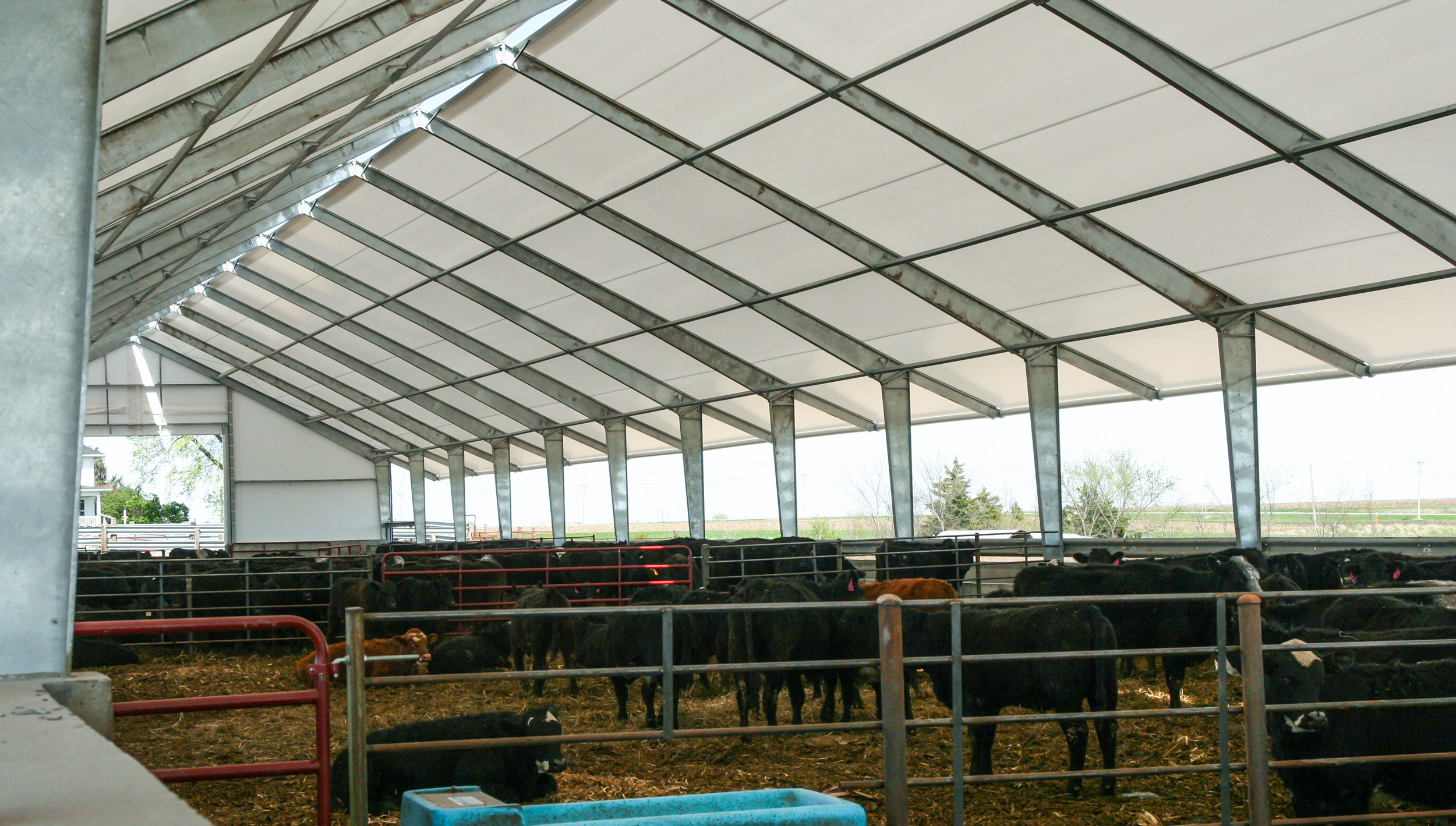 Livestock Buildings & Fabric Farming Structures