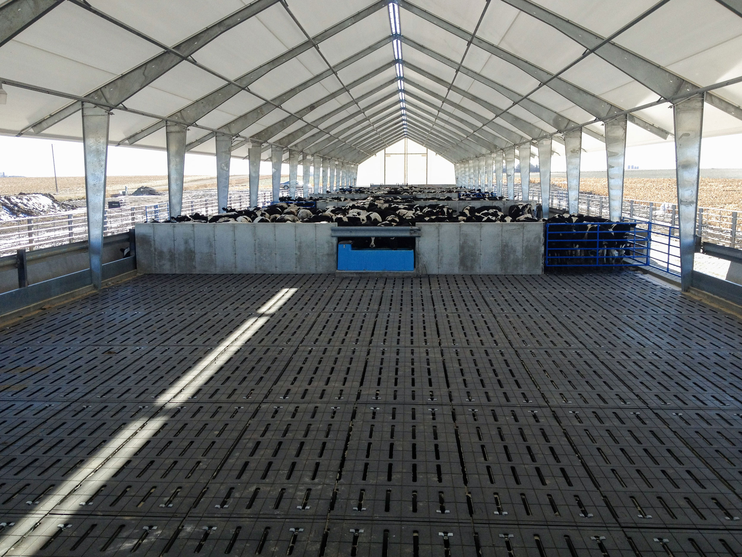 Livestock Buildings & Fabric Farming Structures